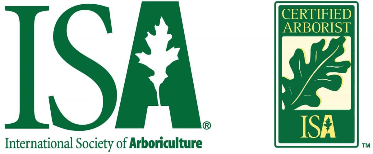 About Elite Tree Care Our Mission and Expertise