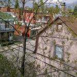 Overhanging Tree Branches: What are the Laws? | Elite Tree Care