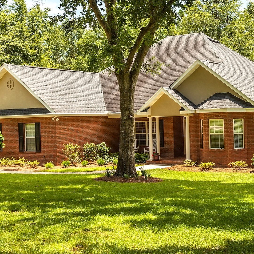 Tree Care Tips Elite Tree Care tree-care-tips-elite-tree-care