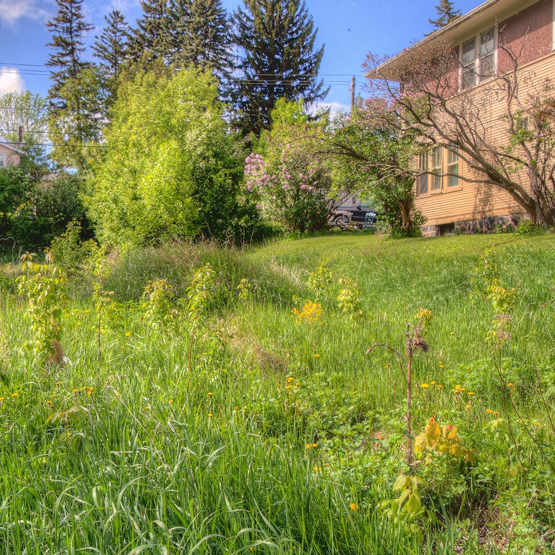 Lot Clearing Plan - Elite Tree Care