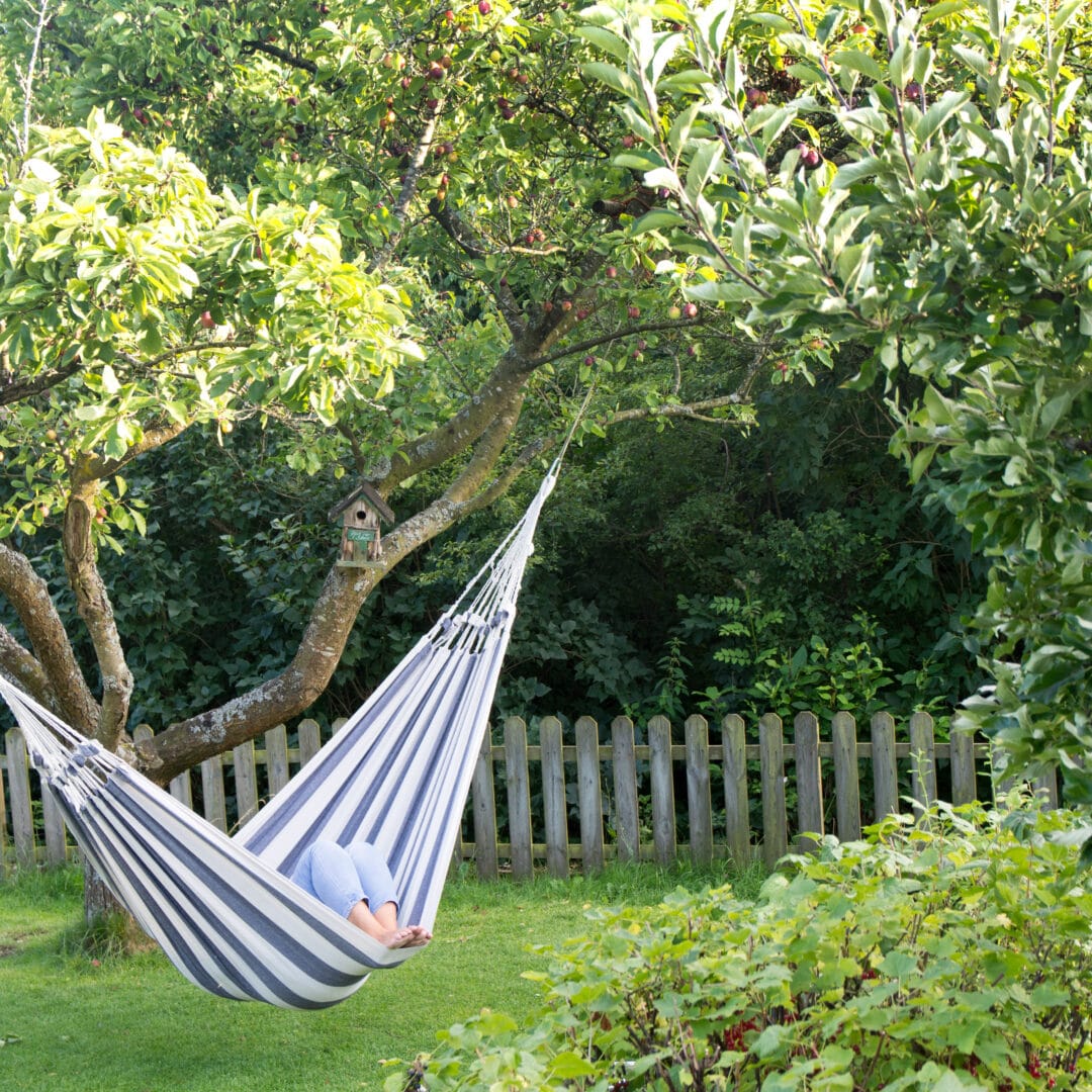 Summer Tree Care Tips for Healthy Growth