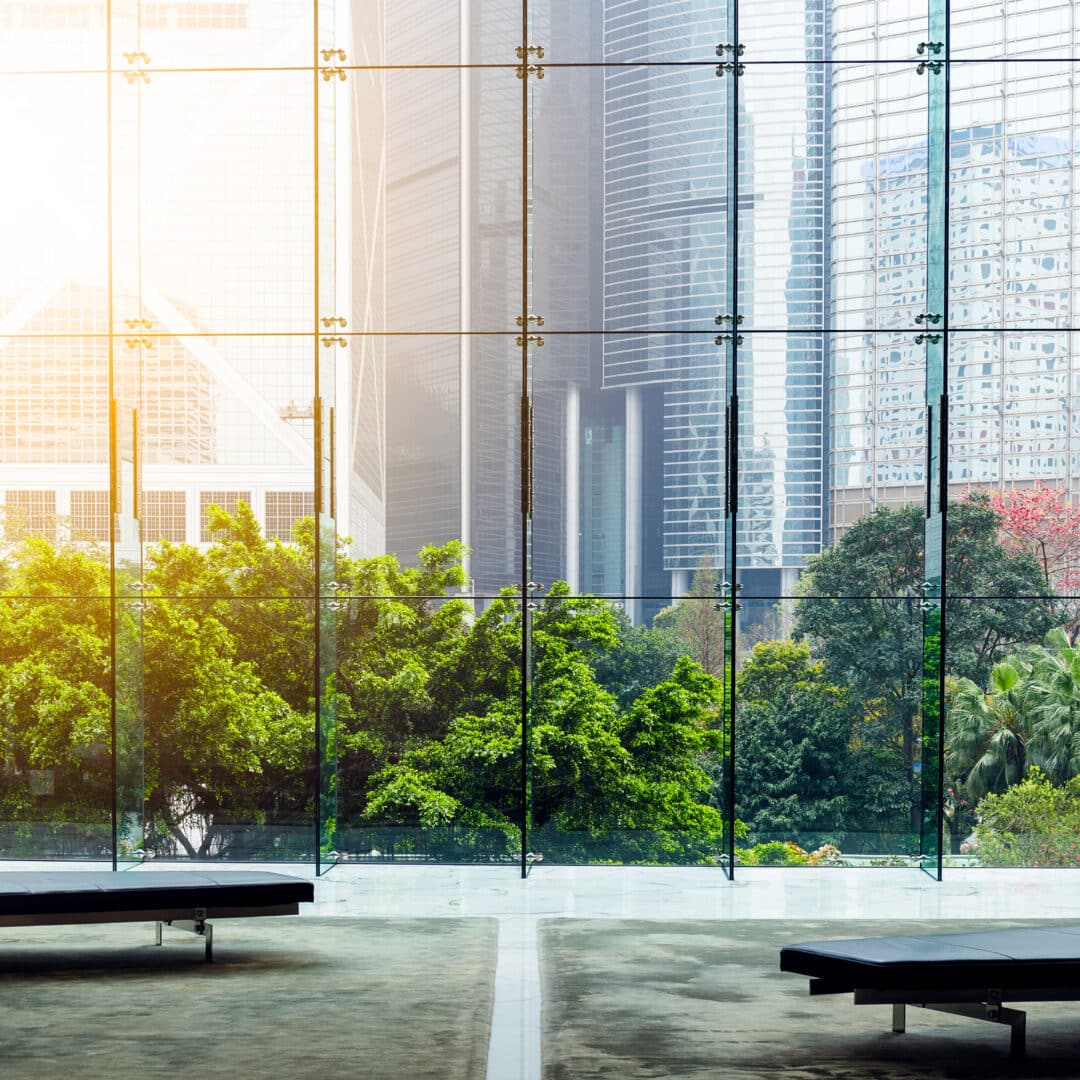 Professional Plant Care - Elite Tree Care