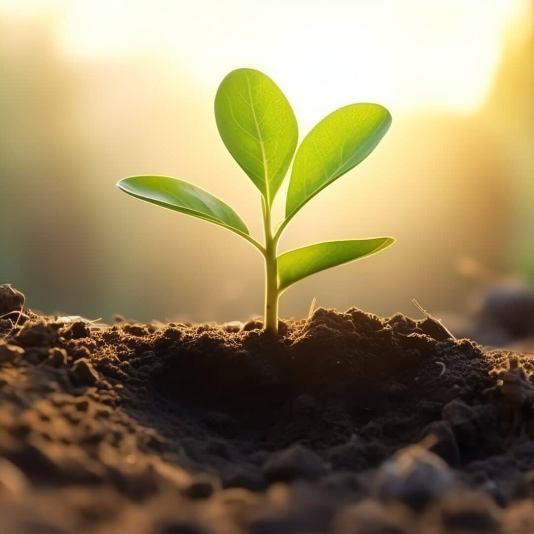 Importance of Native Plants - Elite Tree Care