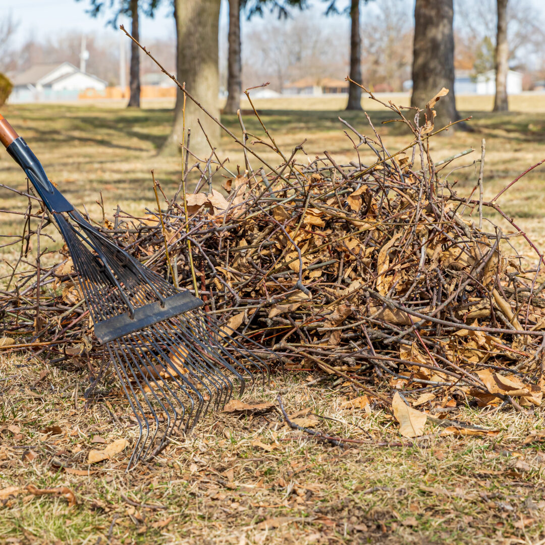 Multiple Fallen Branches - Elite Tree Care