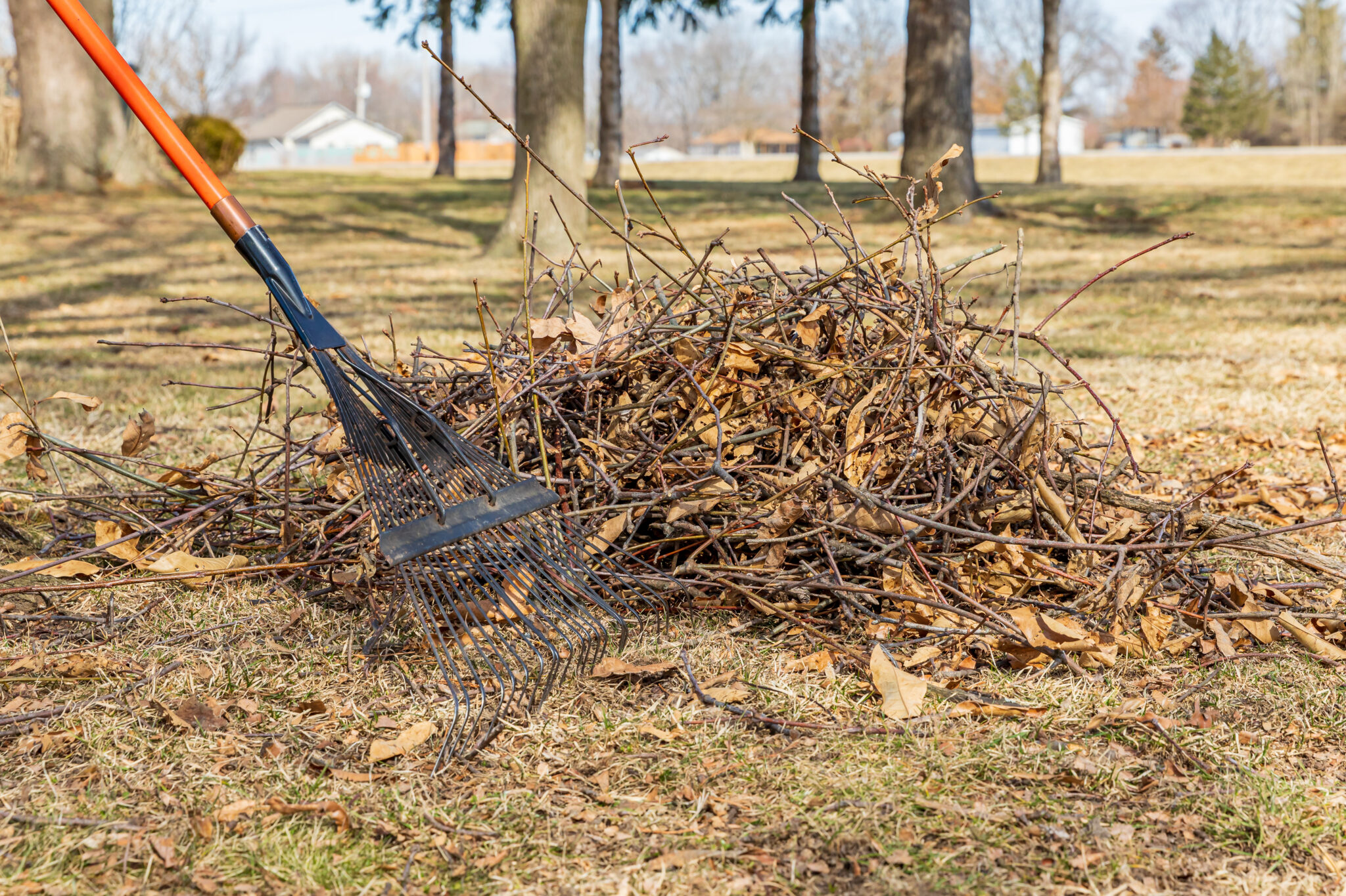 Multiple Fallen Branches - Elite Tree Care